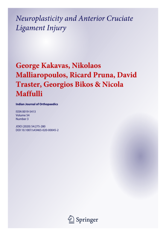 Neuroplasticity and Anterior Cruciate Ligament Injury - Fysiotek